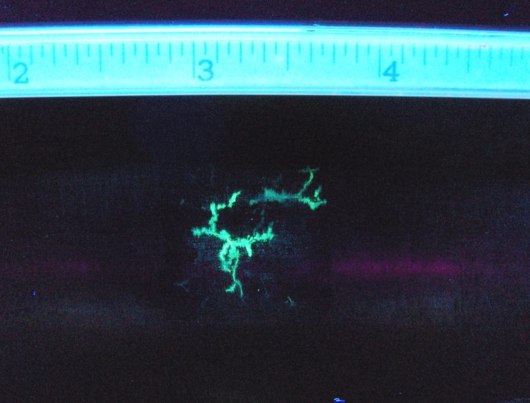 Techniques - FlawTech